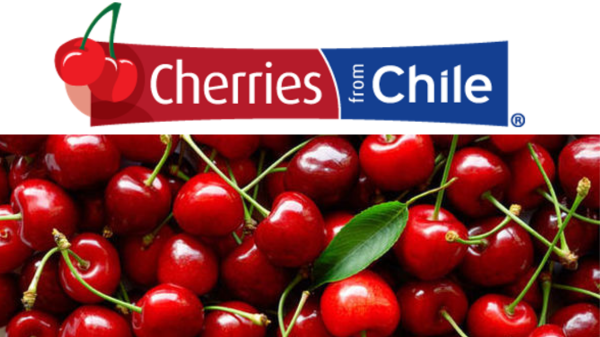 Promoción de cerezas chilenas en pleno apogeo en Estados Unidos ...