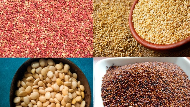 MIDAGRI: Quinua es el principal grano de exportación que llega a 50 ...