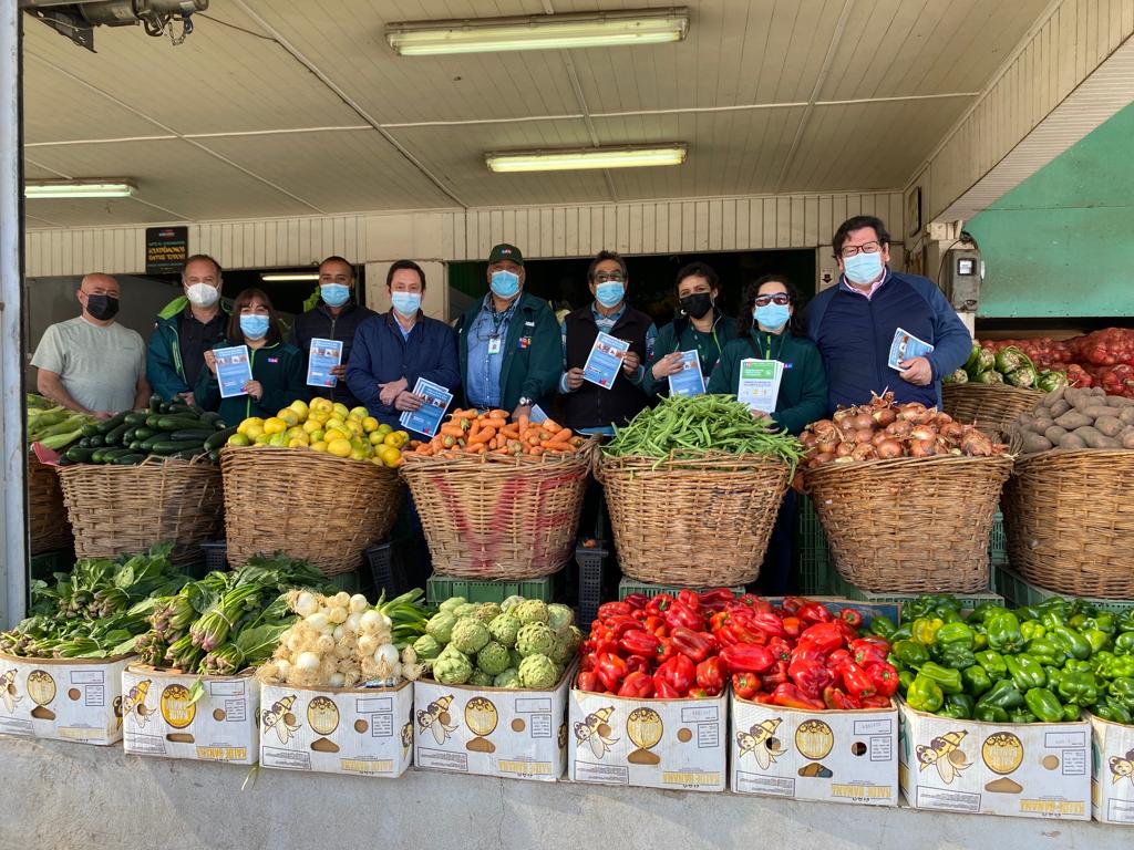 Copiapó: SAG, ASOEX y APECO analizan protocolo de Systems Approach para ...