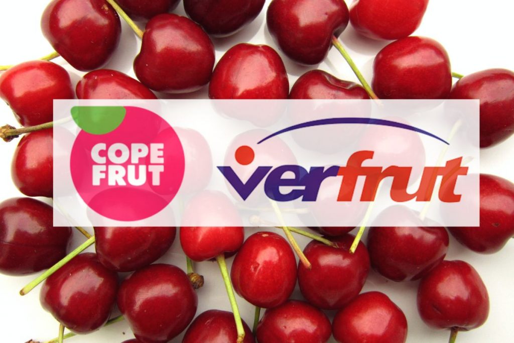 Verfrut y Copefrut se unen para crear uno de los mayores importadores ...