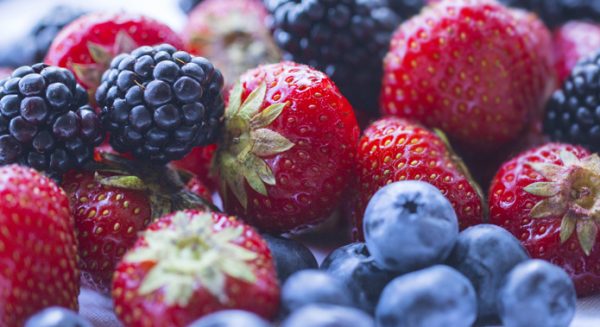 Agroberries inicia operaciones productivas en Marruecos para abastecer ...