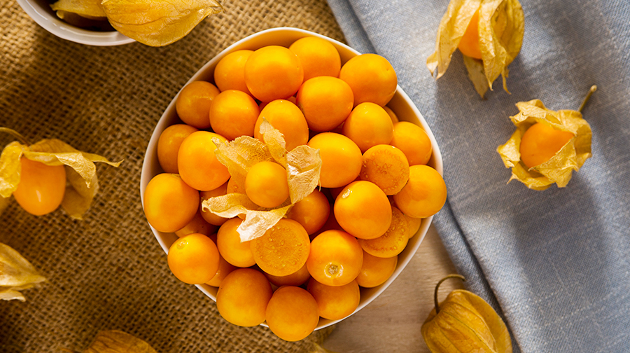 Alemania se consolida como el principal destino del aguaymanto peruano ...