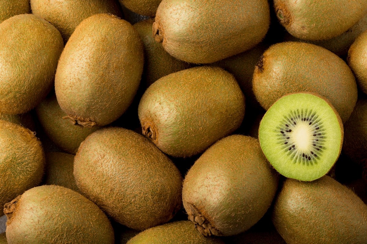 IKO 2023: Comité del Kiwi se prepara para recibir en Chile a los principales países productores ...