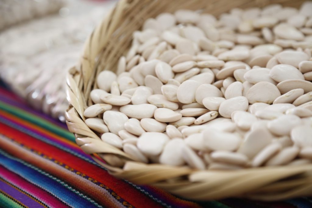 Exportación del pallar peruano lleva 32% de crecimiento – AgroChilePerú