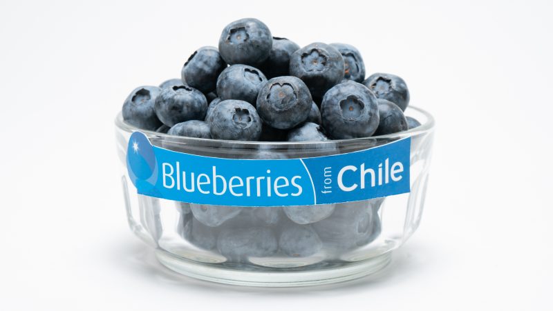 Asoex: Exportaciones de arándanos frescos de Chile llegarían a las 82 ...