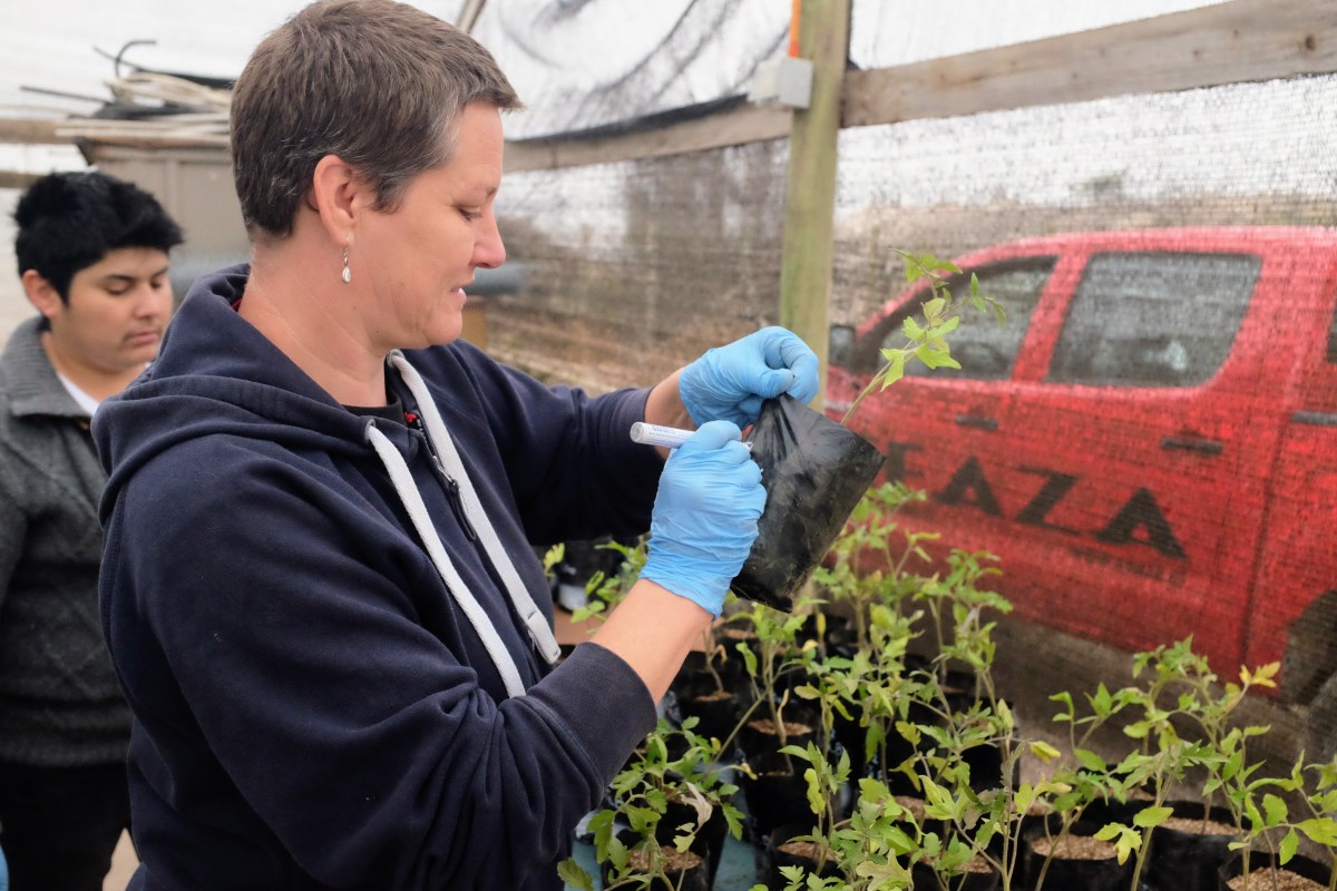 Investigadores CEAZA colaboran en proyecto de desarrollo de bioinsumos ...